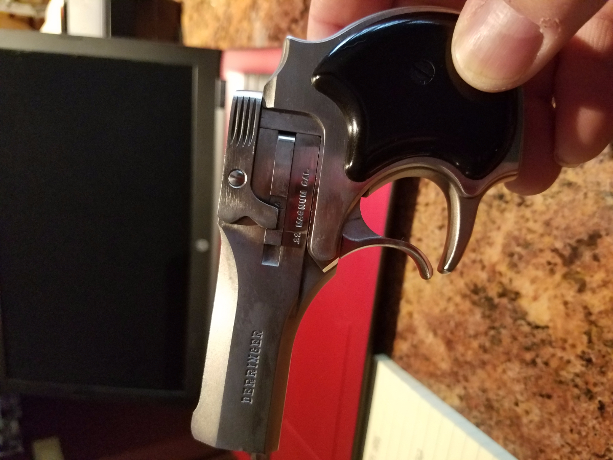 Over Under 22 Long Stainless Derringer In Excellent Condition .22 Long ...