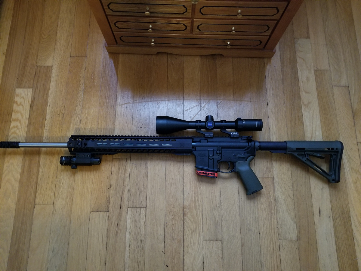 Psa Ar-15 In 224 Valkyrie Ss W/ Mags .22 Lr For Sale at GunAuction.com - 15209339