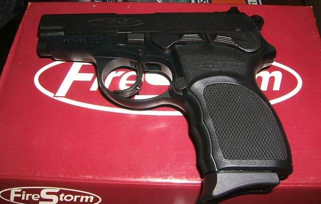 Mini Firestorm Nini Firestorm 40 S&W Matt Finish For Sale at GunAuction ...