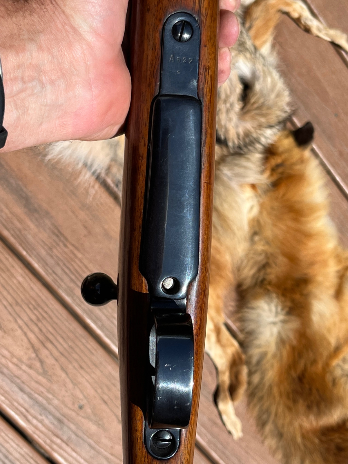 Mauser 95 in 7x57 carbine, action made in Berlin 7mm Mauser (7x57mm ...