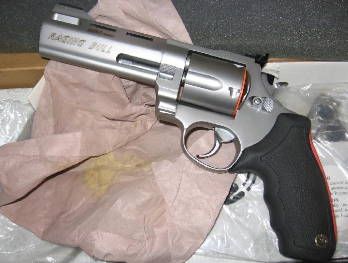 Taurus Raging Bull 5" Stainless 480 Like New No Reserve For Sale at ...