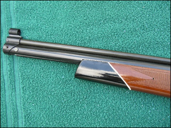 Sharp Innova 177 Cal Custom/Deluxe Stocked For Sale at GunAuction.com ...