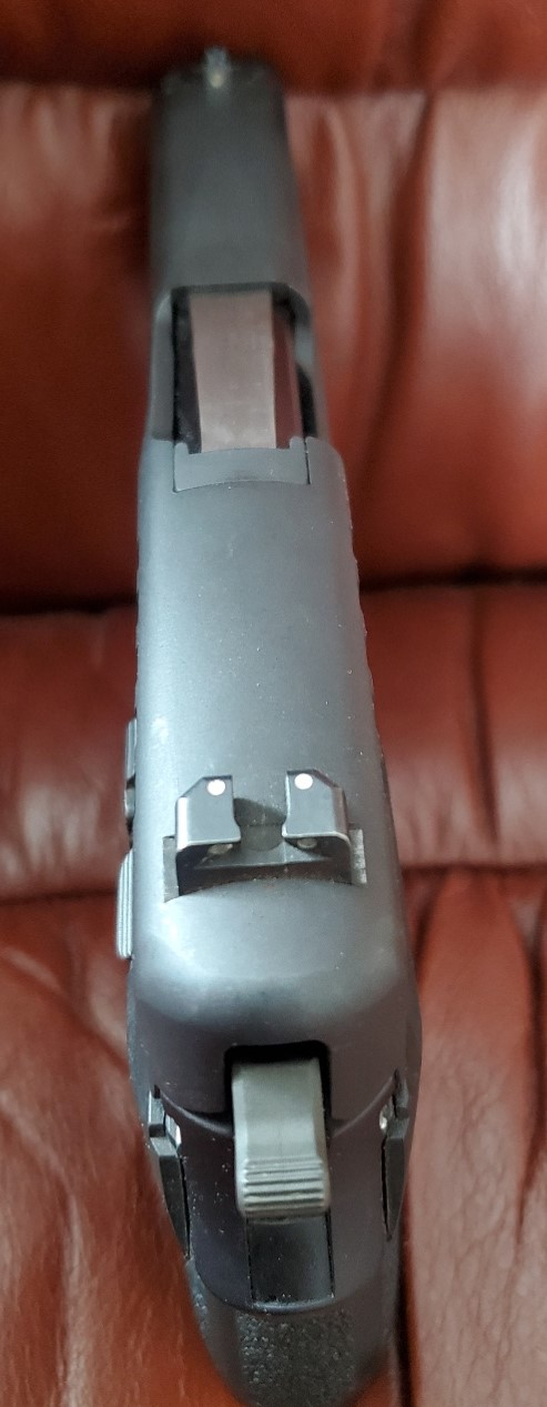 SIG Sauer Model P245 .45 ACP 17284431 - GunAuction.com