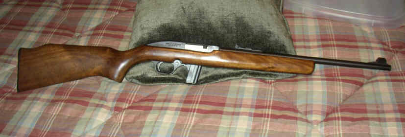 Magtech Model 7022 22 Cal. Semi Auto For Sale at GunAuction.com - 5303463