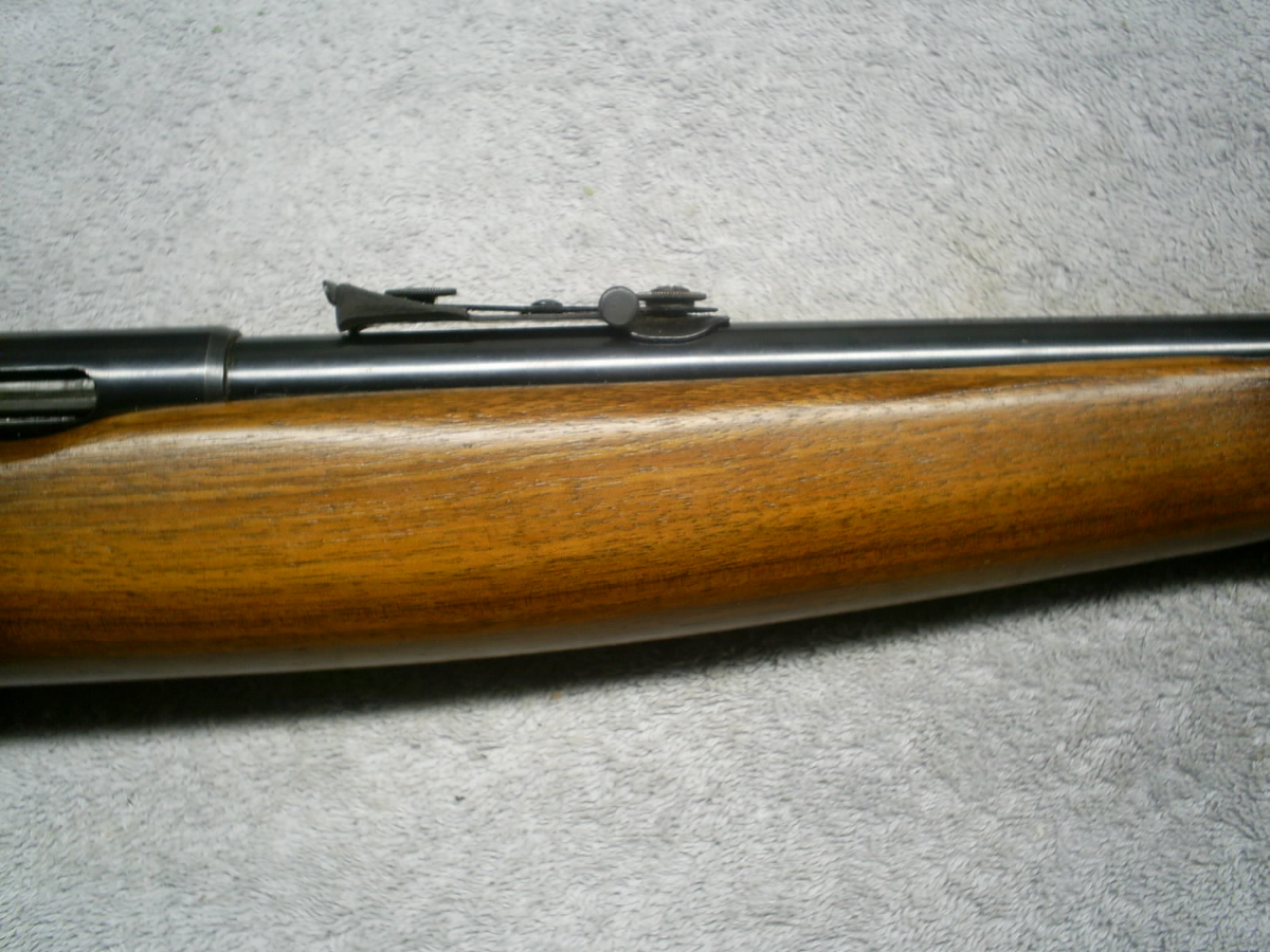 Mossberg Model 51m .22 Lr For Sale at GunAuction.com - 17188039