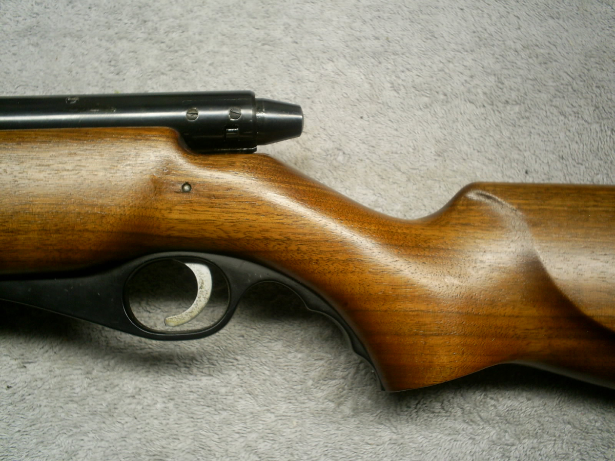Mossberg Model 51m .22 Lr For Sale at GunAuction.com - 17188039