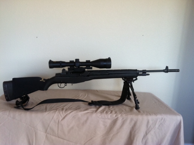 Springfield Springfield m1a .308 with scope