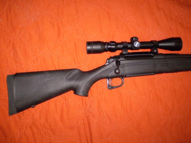Remington Model 770 308 Winchester/Scope For Sale at GunAuction.com ...