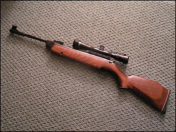 Beeman Bear Cub Air Rifle By Webley & Scott For Sale at GunAuction.com ...