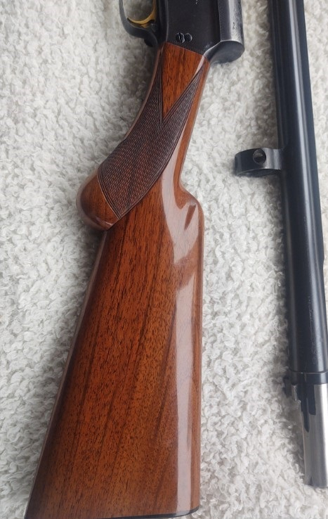 Browning Auto 5 Sweet Sixteen, Solid Rib Barrel 16 Ga For Sale at ...