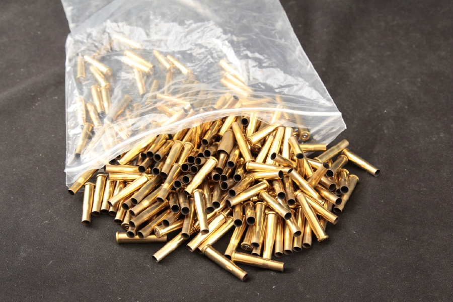 190x 22 Hornet W-W Super Fired Brass Cases .22 Lr For Sale at ...