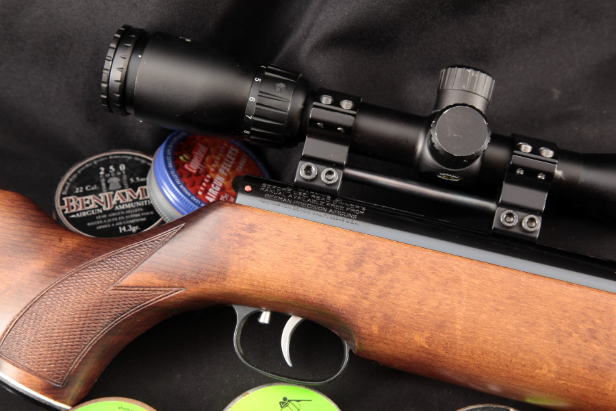 Beeman Model R1 Germany .22 Cal Target Air Rifle .22 Lr For Sale at ...