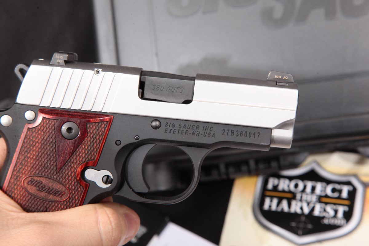 Sig Sauer Model P238 P-238 238-380-Tss-Ca, Stainless & Black 2.835 ...