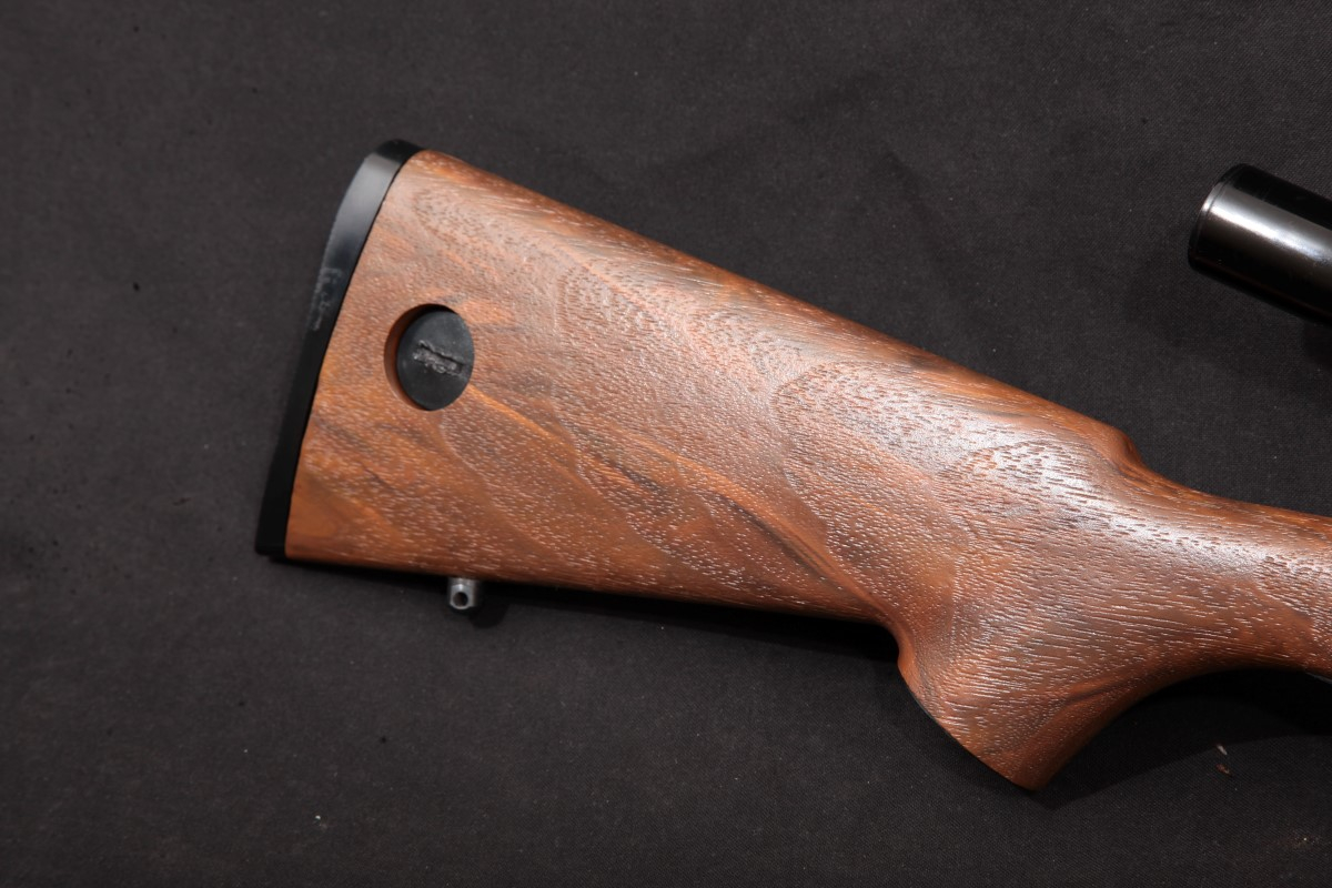 Daisy Legacy Model 2201, Black 18" Bolt Action Single Shot Synthetic ...