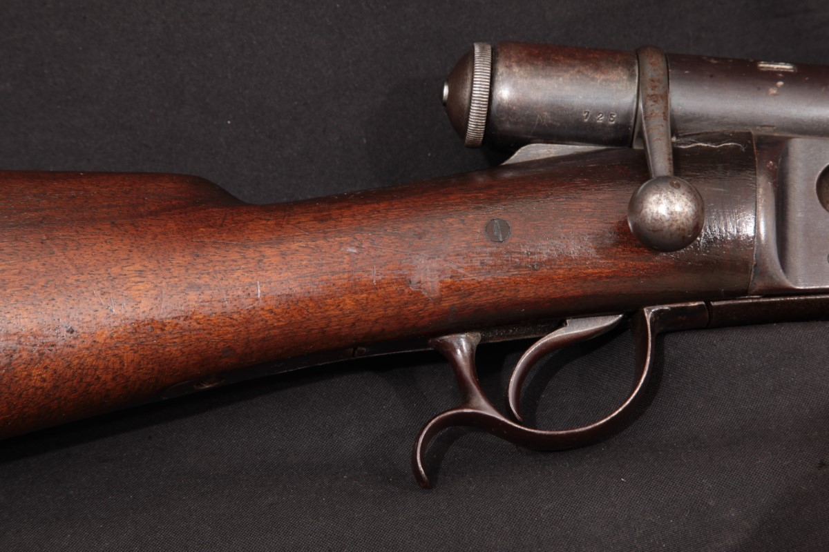 Swiss Vetterli Model 1881, M81 Carbine Conversion, Blue 22 Military ...