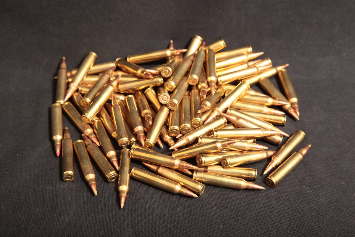 80x .204 Ruger Ammunition Mixed Reloaded Remington & New Hornady ...