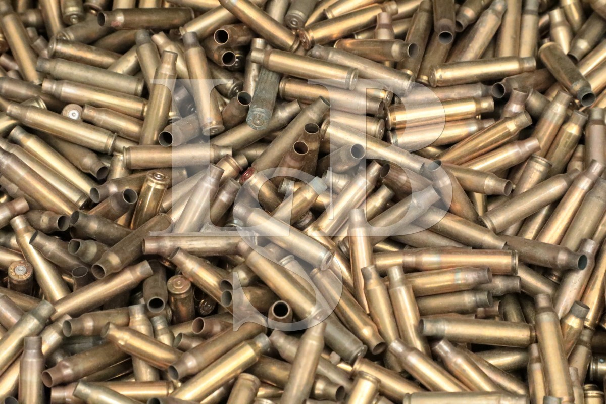 Mixed 900x .223 Rem/5.56 Fired Brass Cases Win, Fed, Lc, S&B, Pmc, More ...