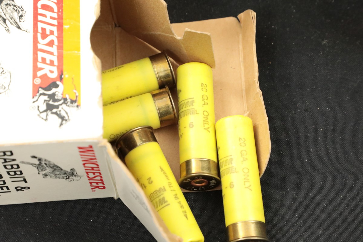 173x 20 Gauge Ammunition Mixed Lot Fed, Rem, Win, Peters Paper ...