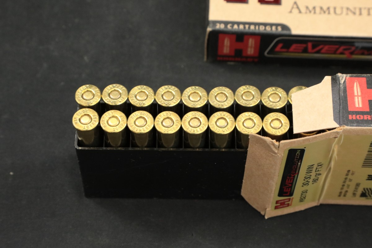 80x .30-30 Winchester Ammunition Hornady Leverevolution 160 Grain Ftx ...