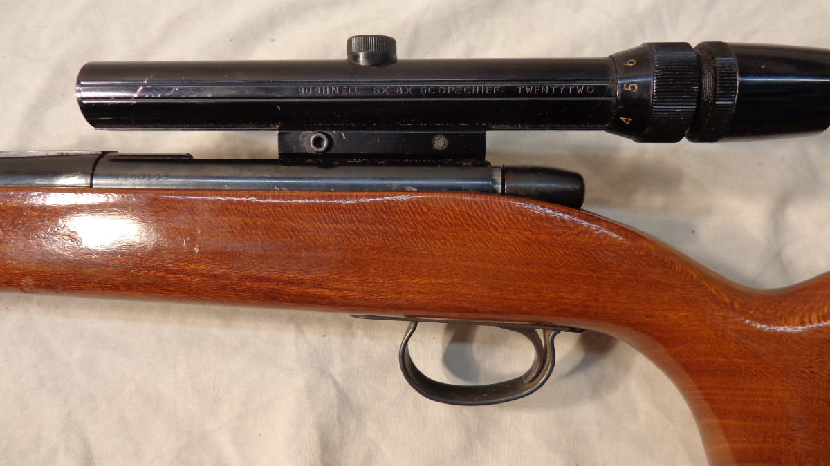 Remington Model 582 .22 Lr For Sale at GunAuction.com - 15081102