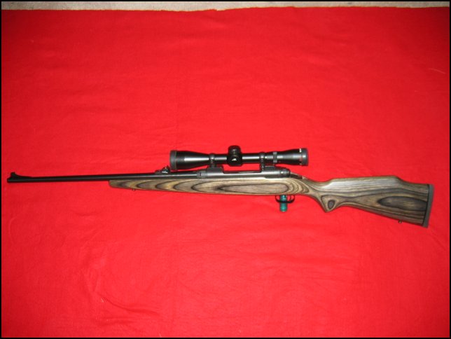 Savage Savage Model 110 .243 cal W/ laminated stock & sco