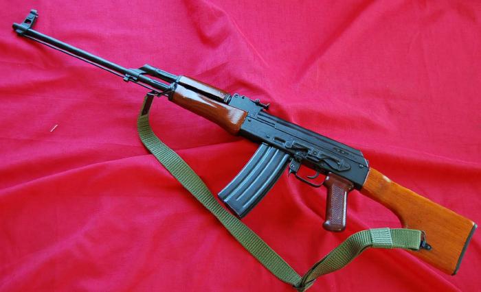 Romania Akt-98 Rpk .22lr Training Rifle, Ak, No Reserve For Sale at ...