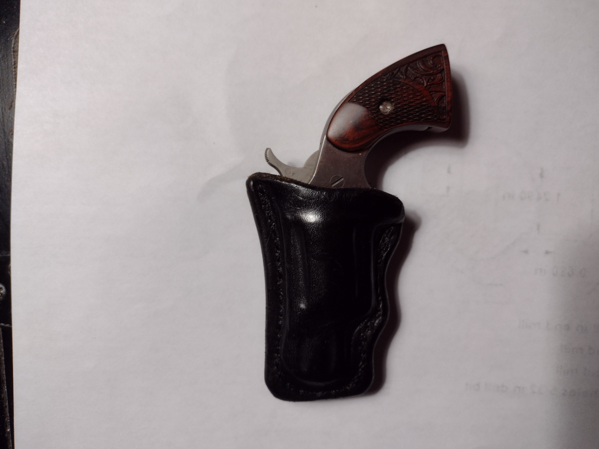 Very Nice Custom Naa 22lr Revolver .22 Lr For Sale at GunAuction.com ...