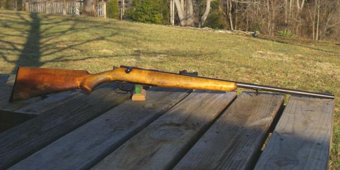 Sako P46 22 Cal Heavy Barrel Target Rifle For Sale at GunAuction.com ...