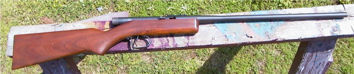 Benjamin 3030 CO2 BB rifle