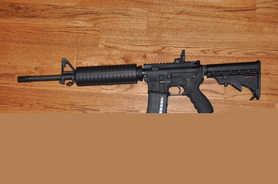 Palmetto Ar15/M4 Carbine Palmetto State Armory