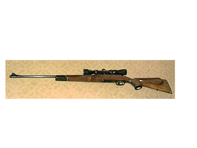 Anschutz Anschutz-Savage/Anschutz model 153 sporting rifle