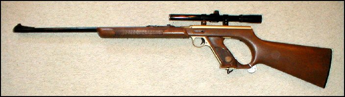 Sears Ted Williams 799-190620 ( Daisy Model 3300) For Sale at ...