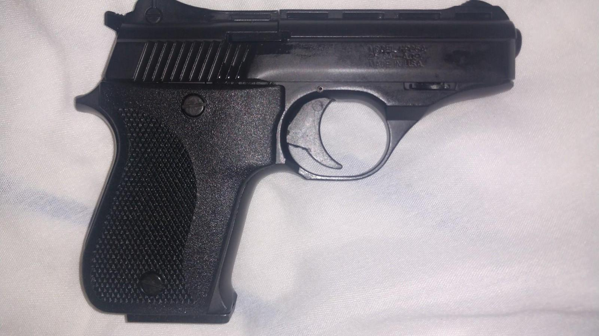 Phoenix Arms Hp25a .25 Acp 3" Barrel 10 Rnds. New In Box .25 Acp For ...