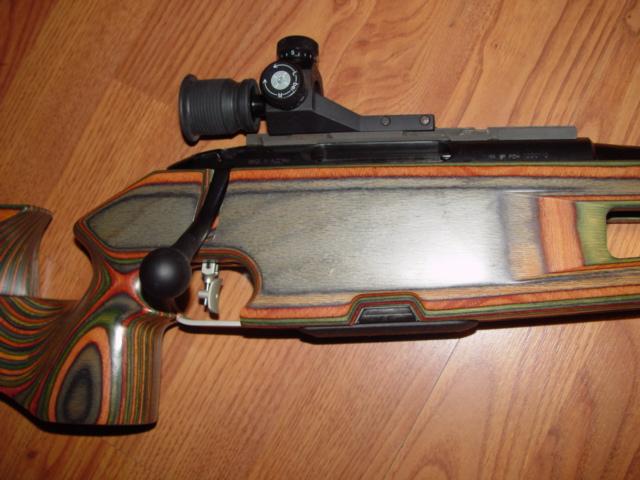 Steyr Sbs 300m Cism Match Rilfe Sniper Target For Sale at GunAuction ...