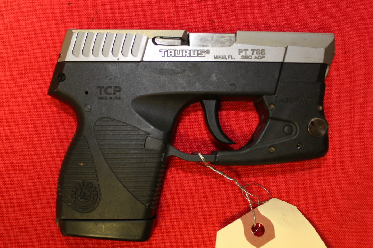 Taurus Pt738 Stainless W/ Laser .380 Acp For Sale at GunAuction.com ...