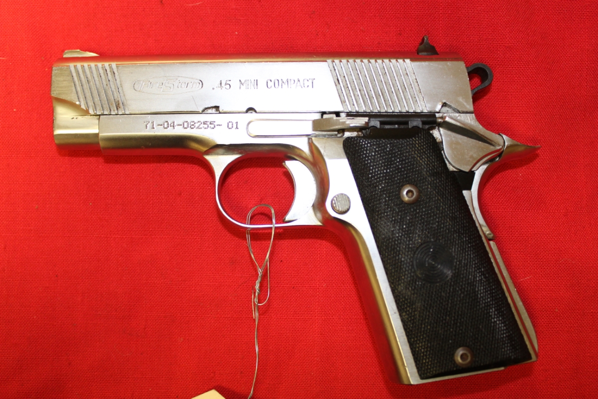 Firestorm Govt Model Mini Compact .45 Acp For Sale at GunAuction.com ...