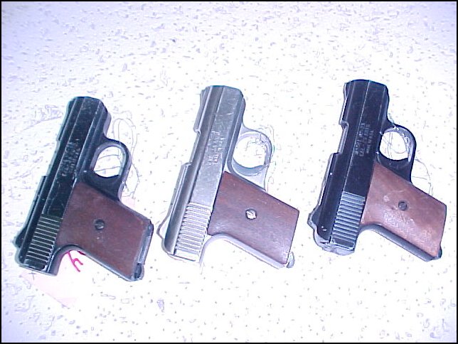 Raven Arms 3-Ravens For Sale at GunAuction.com - 7401001