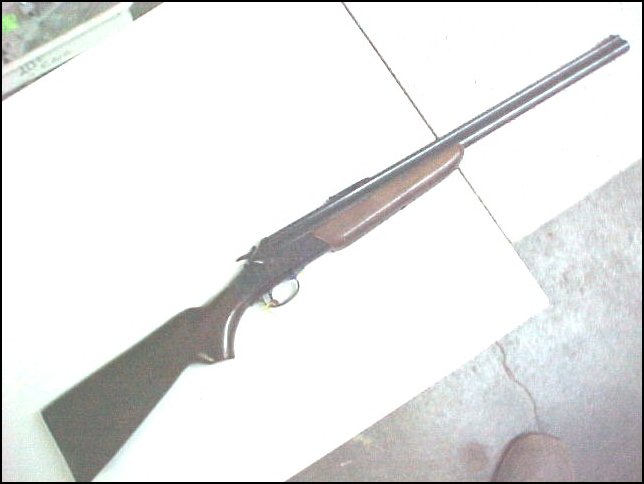 Savage Model 24s-D For Sale at GunAuction.com - 7019022