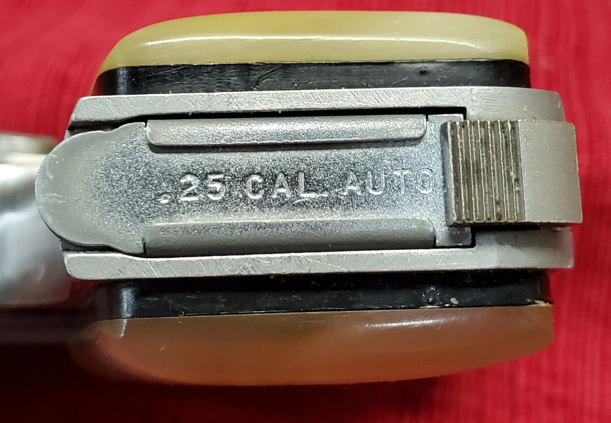 Bauer Firearms Model 25 Ssp W/Box, Soft Case, One Magazine And Manual ...