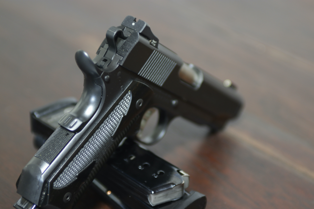 Nighthawk Custom Predator Ii Pristine .45 Acp For Sale at GunAuction ...