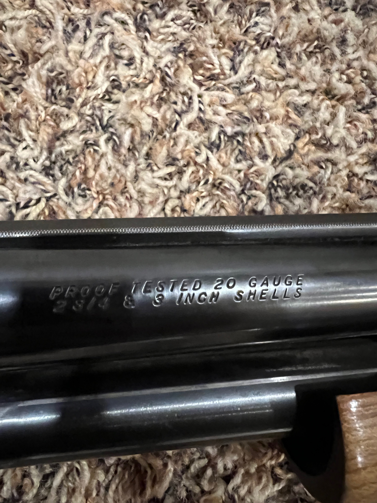 Savage/Stevens Revelation Model 300 20 Ga Pump. Nice. $1 No Reserve 20 ...