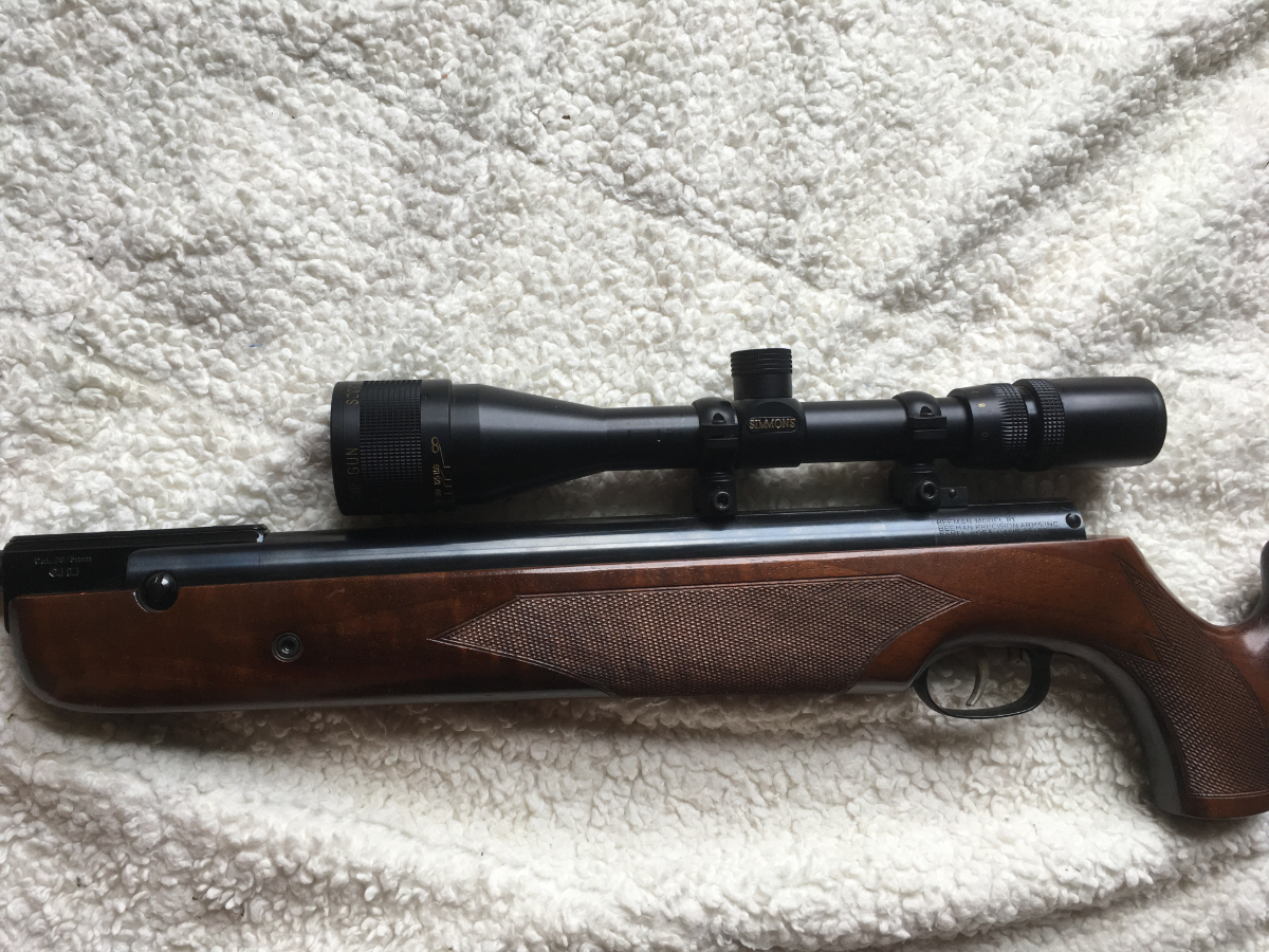 Beeman R1 .20 Cal Tyrolean Stock Simmons Competition Scope For Sale at ...