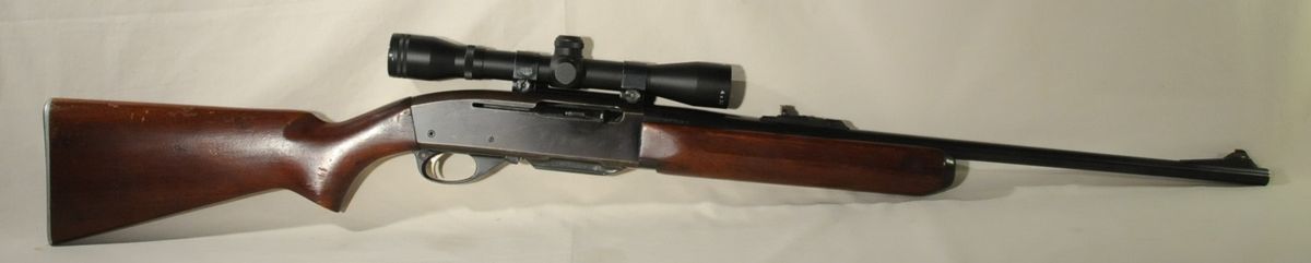 Remington Model 740, Semi-Auto, Clip, Scope .30-06 Springfield For Sale ...