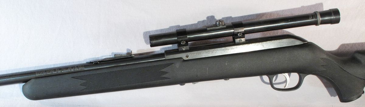 Savage Model 64, Semi-Auto, Scope, Clip .22 Long For Sale at GunAuction ...