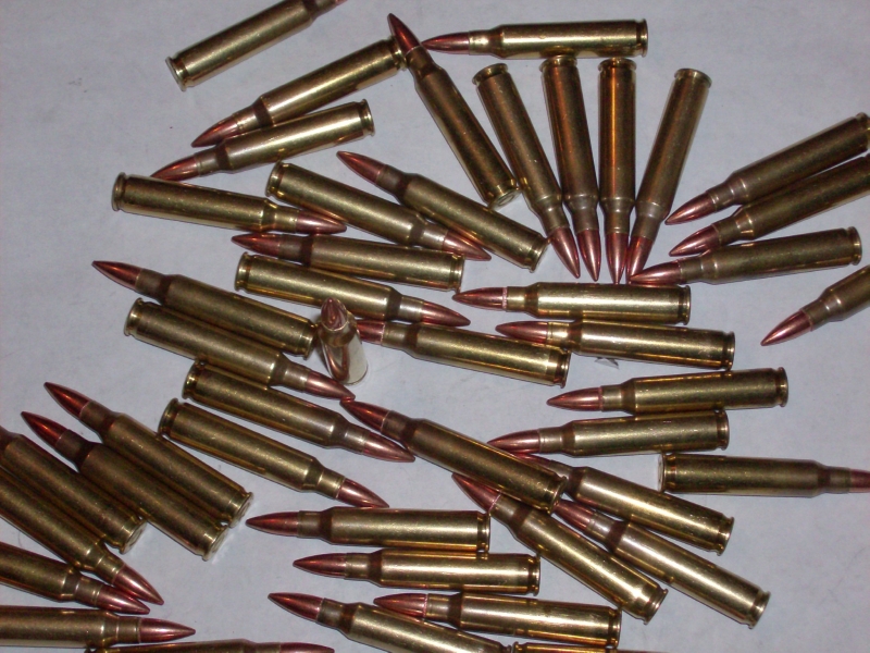 50rds .223 55grn Fmj Bullet For Sale at GunAuction.com - 11095927