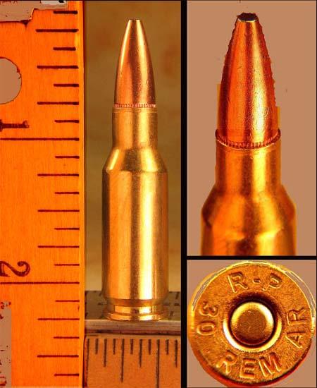 New for 2009, Remington 30 AR, (aka) 30 RAR