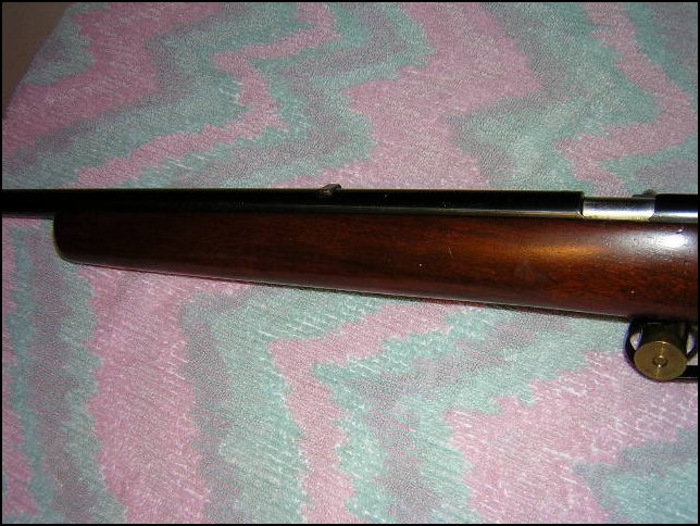 Winchester 67 Winchester Model 67 -22 Cal. Smooth-Bore For Sale at ...
