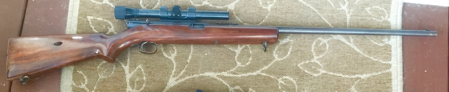 Winchester M74 In 22 Short With Weaver D4 Scope .22 Short For Sale at ...