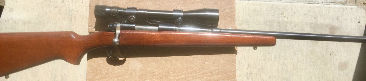 Remington 722 244 Rem Balvar 8 With Dies And Cases. 6mm Rem. For Sale ...