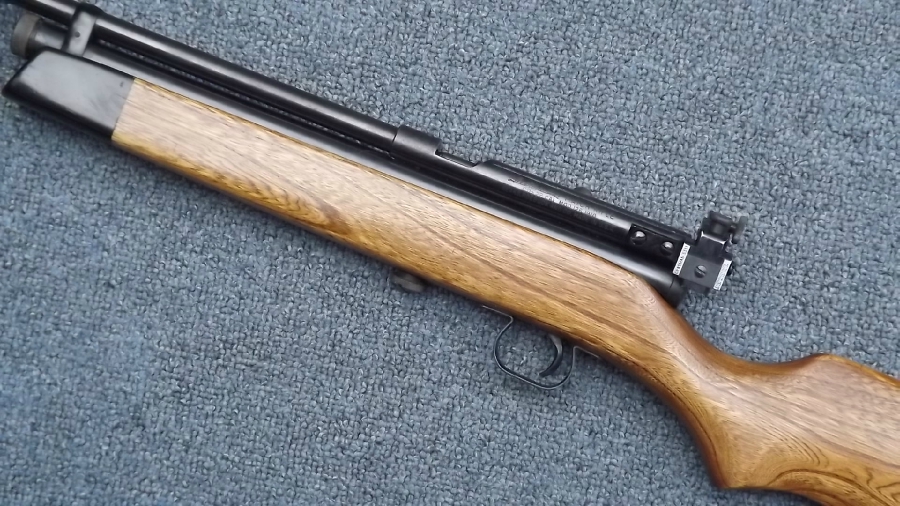 Ted Williams Mod 126.1910 (Crosman 160) -Very Nice 12 Ga For Sale at ...